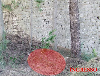 UFO, Extraterrestri, Spazio, Vita, Amicizia, Friendship, W56, Ummiti.